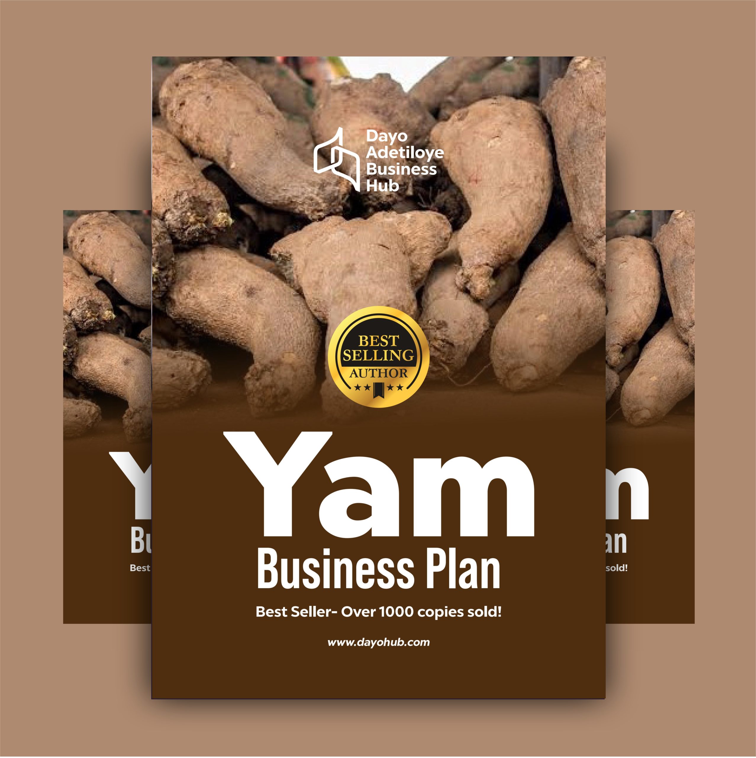 YAM PRODUCTION BUSINESS PLAN IN NIGERIA