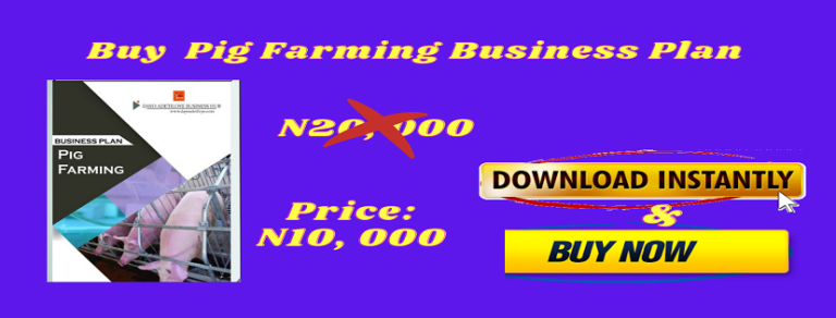 Piggery Business plan in Nigeria