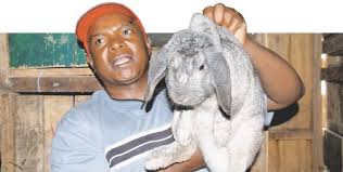 Rabbit Farming Business plan in Nigeria - Youth Entrepreneurship