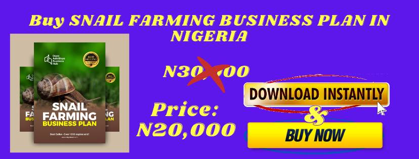 Snail Farming Business plan in Nigeria