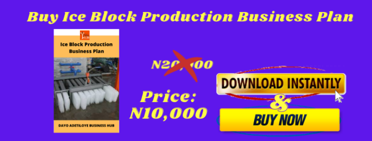 Ice Block Production Business Plan in Nigeria