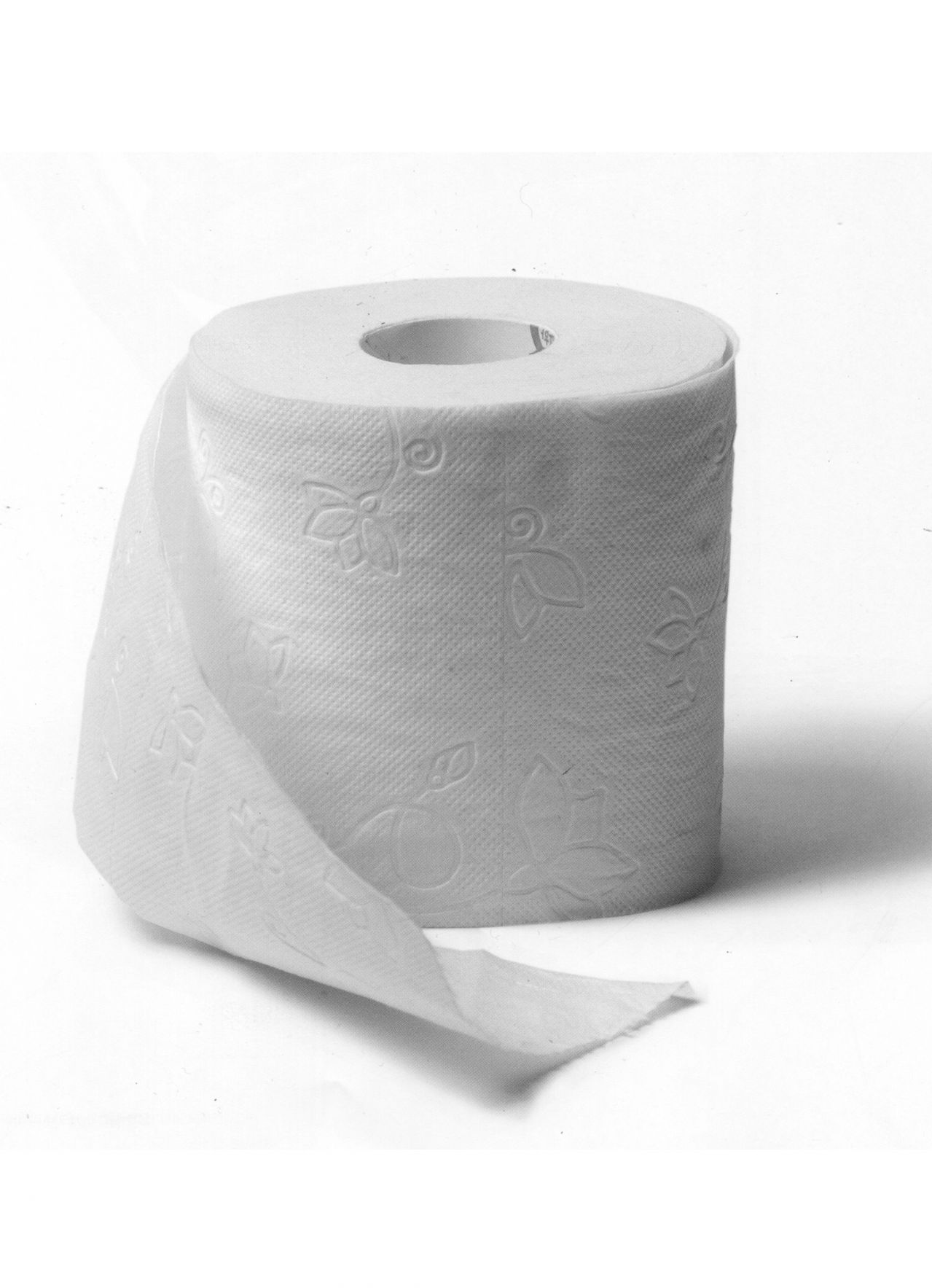 TISSUE PAPER/SERVIETTE MANUFACTURING BUSINESS PLAN IN NIGERIA