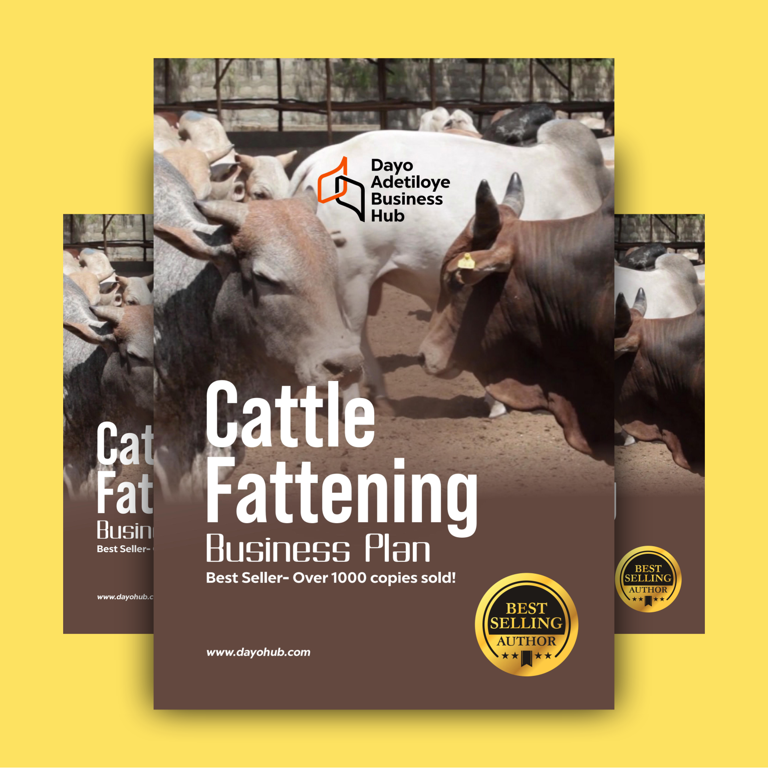 CATTLE REARING BUSINESS PLAN IN NIGERIA