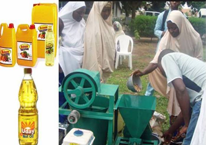 PEANUT FARMING AND PROCESSING BUSINESS PLAN IN NIGERIA