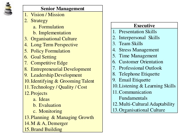 PROFESSIONAL AND MANAGEMENT DEVELOPMENT PLAN IN NIGERIA