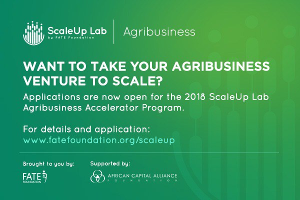 Apply for ScaleUp Lab is a unique Accelerator Programme by FATE ...