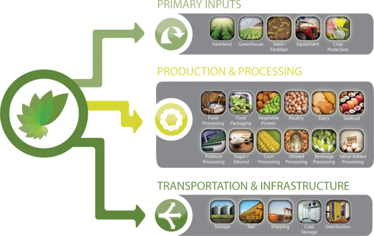 12 ways to profit from the Poultry Value Chain in Nigeria - Youth ...