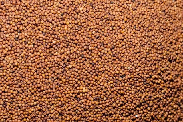 25 ways to profit from the Tamba (Finger Millet ) Value Chain in Nigeria