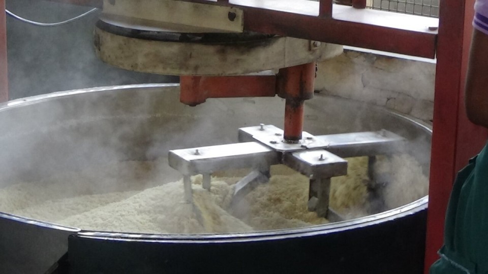 GARRI PROCESSING BUSINESS PLAN IN NIGERIA