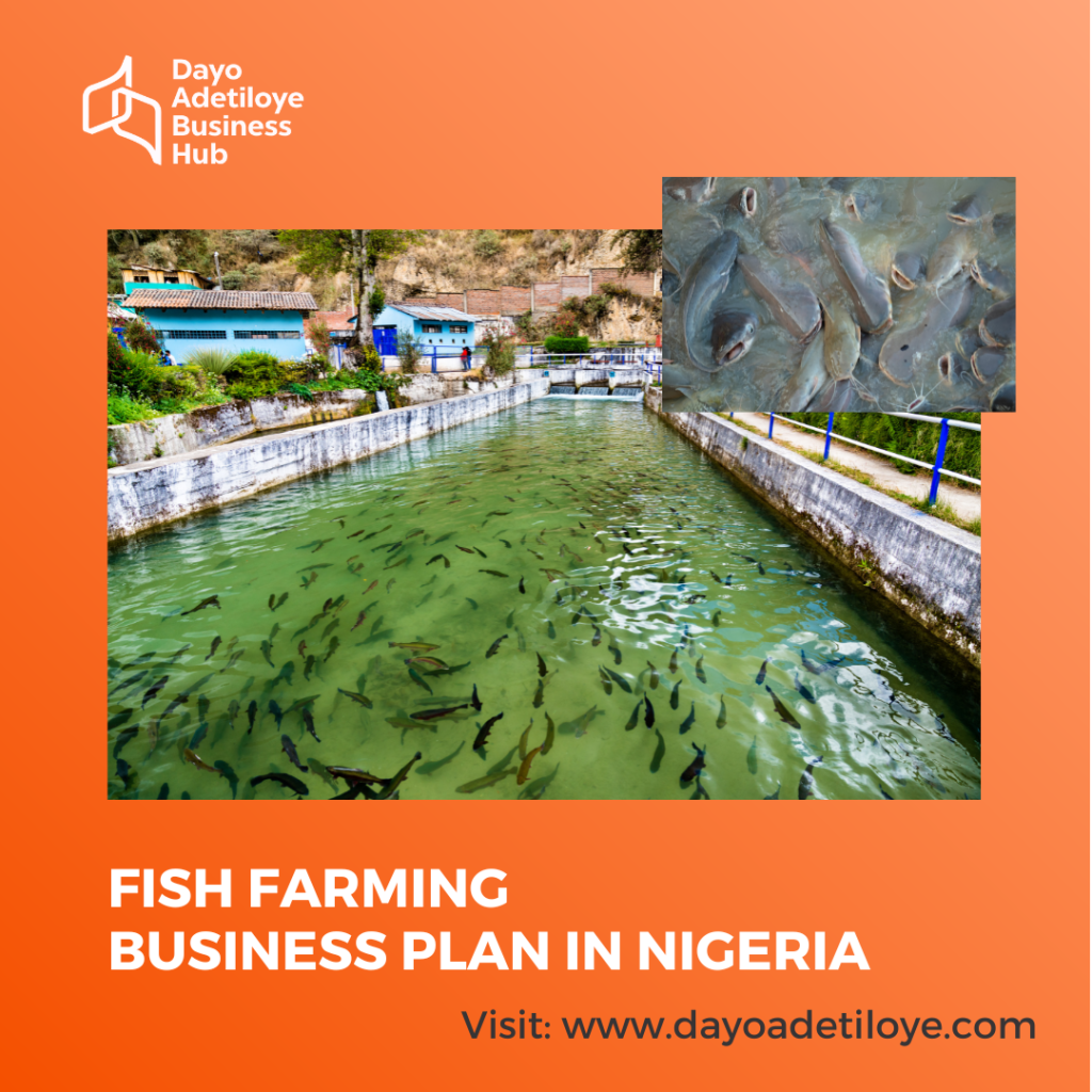 FISH FARMING BUSINESS PLAN IN NIGERIA - Youth Entrepreneurship